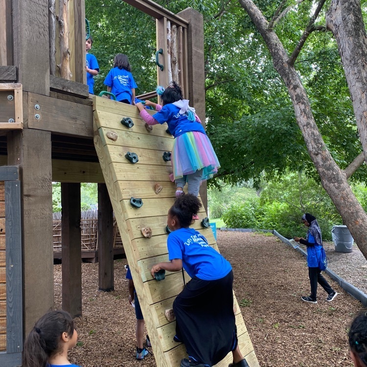 Live Feed | Manara Academy District